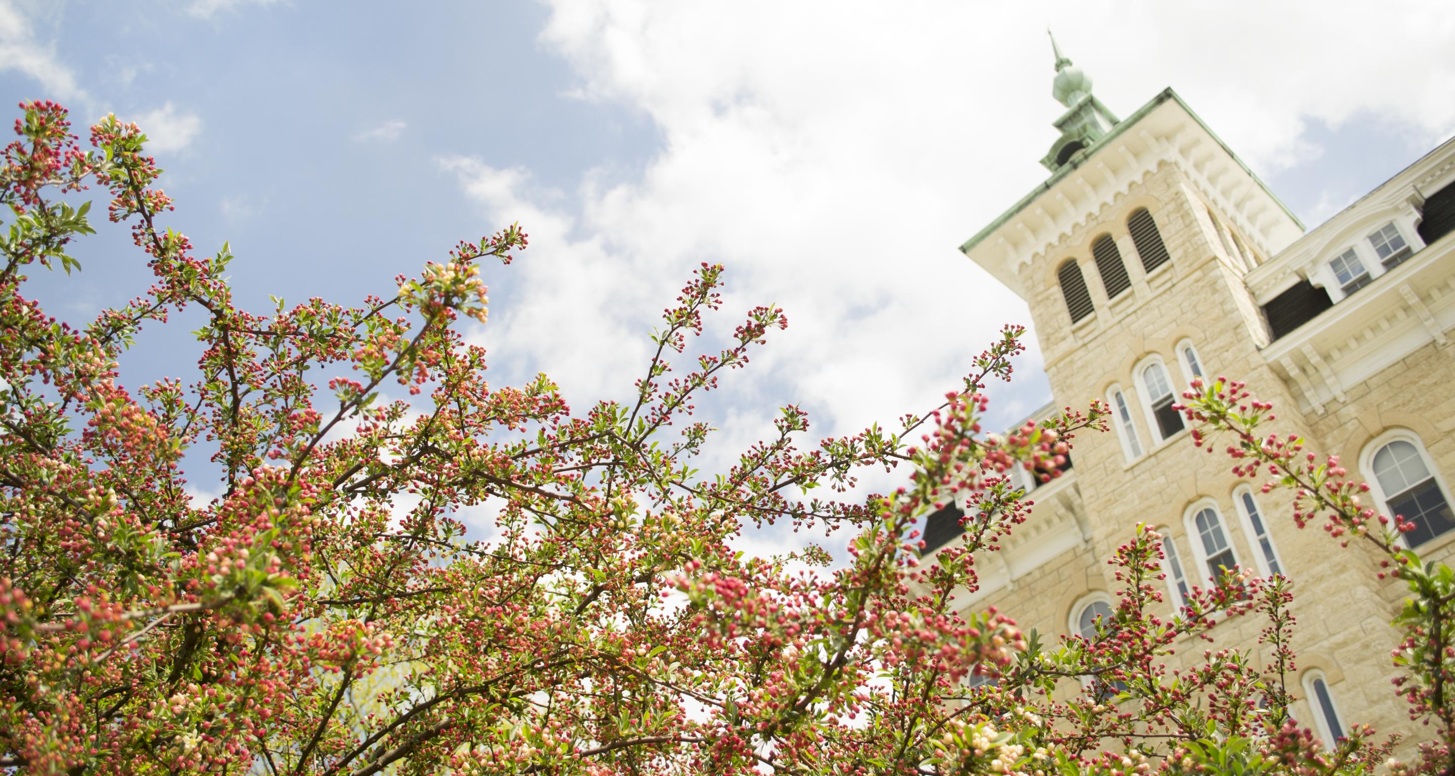 Honor Societies | North Central College