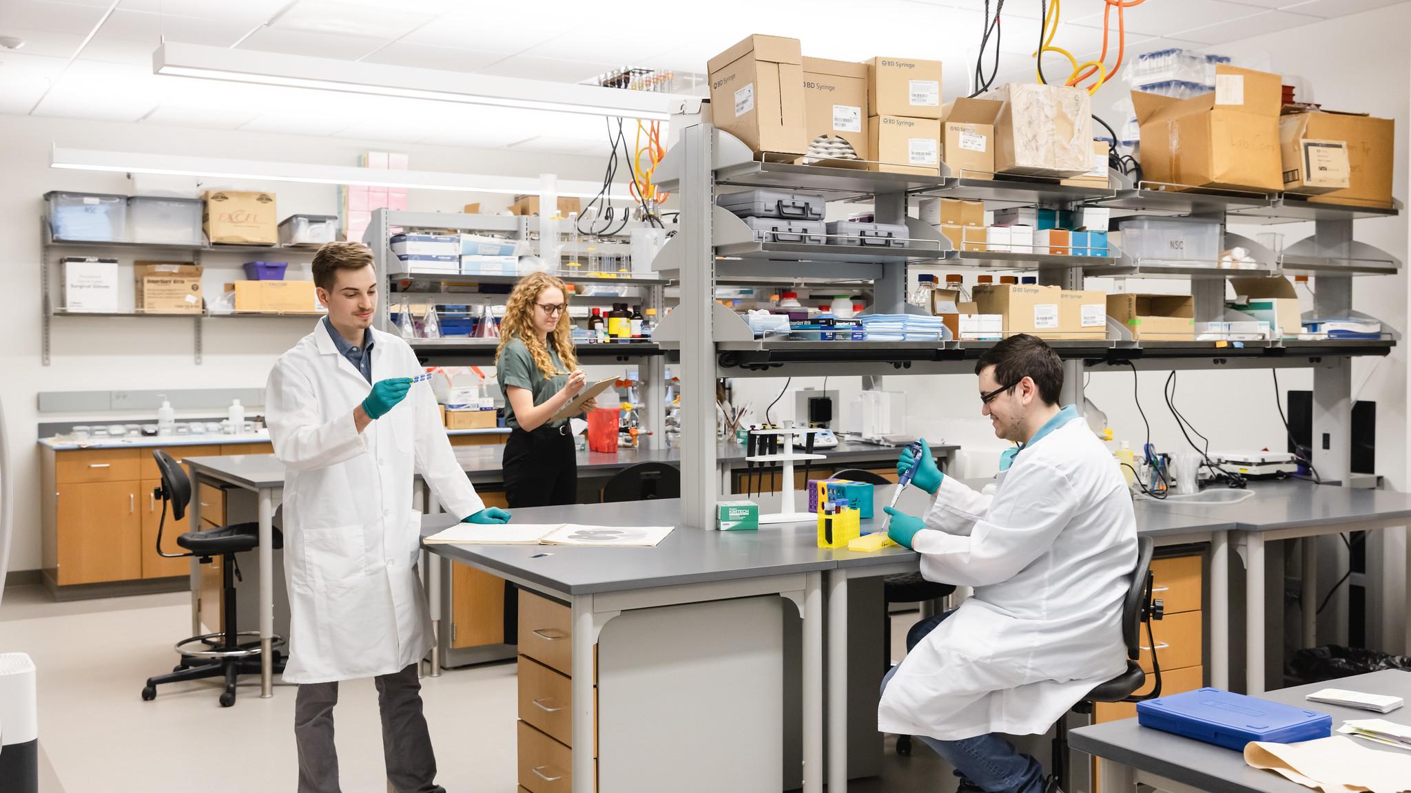 What is a Neuroscience Major? | North Central College