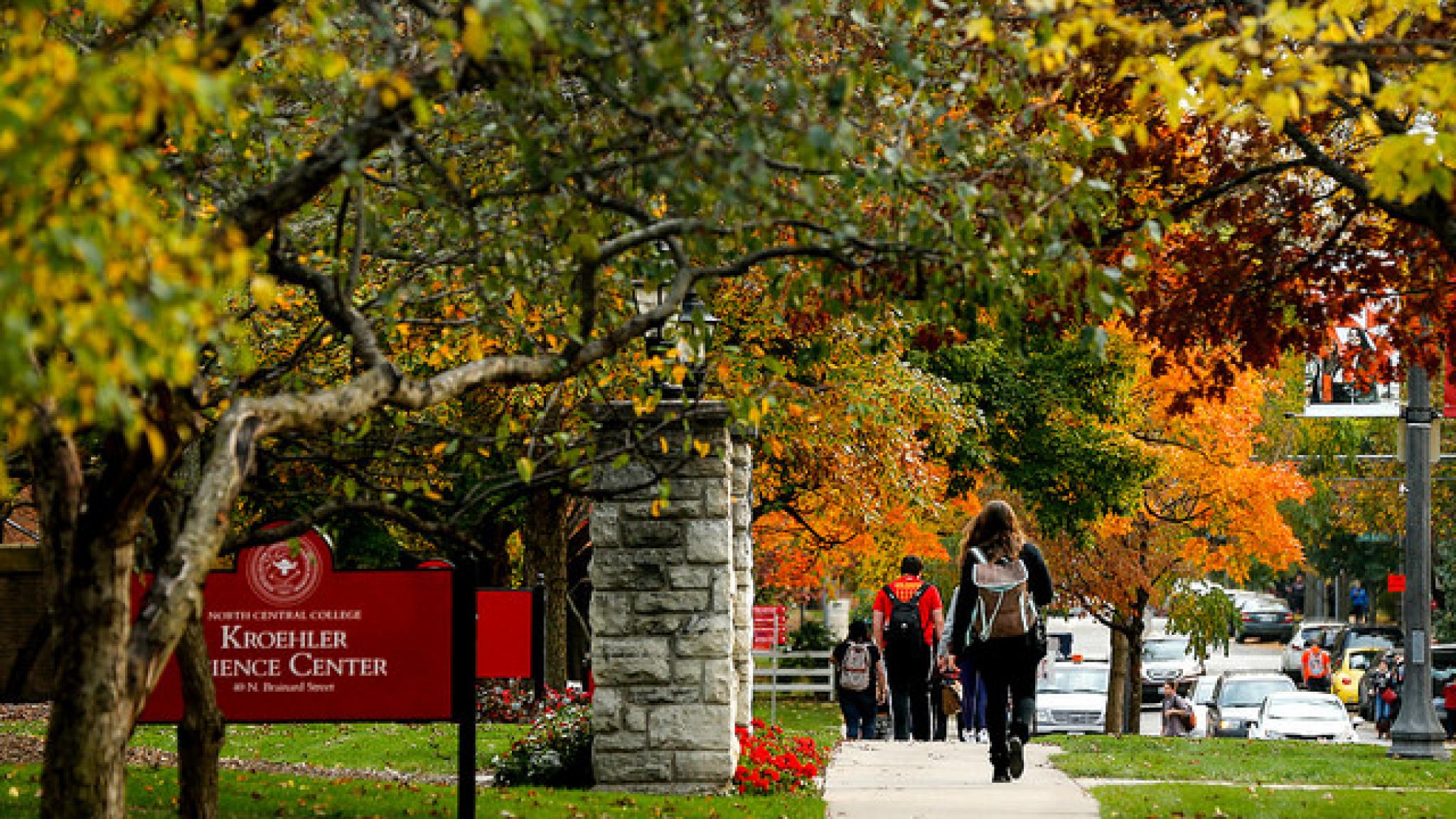 Cardinal Camps | North Central College