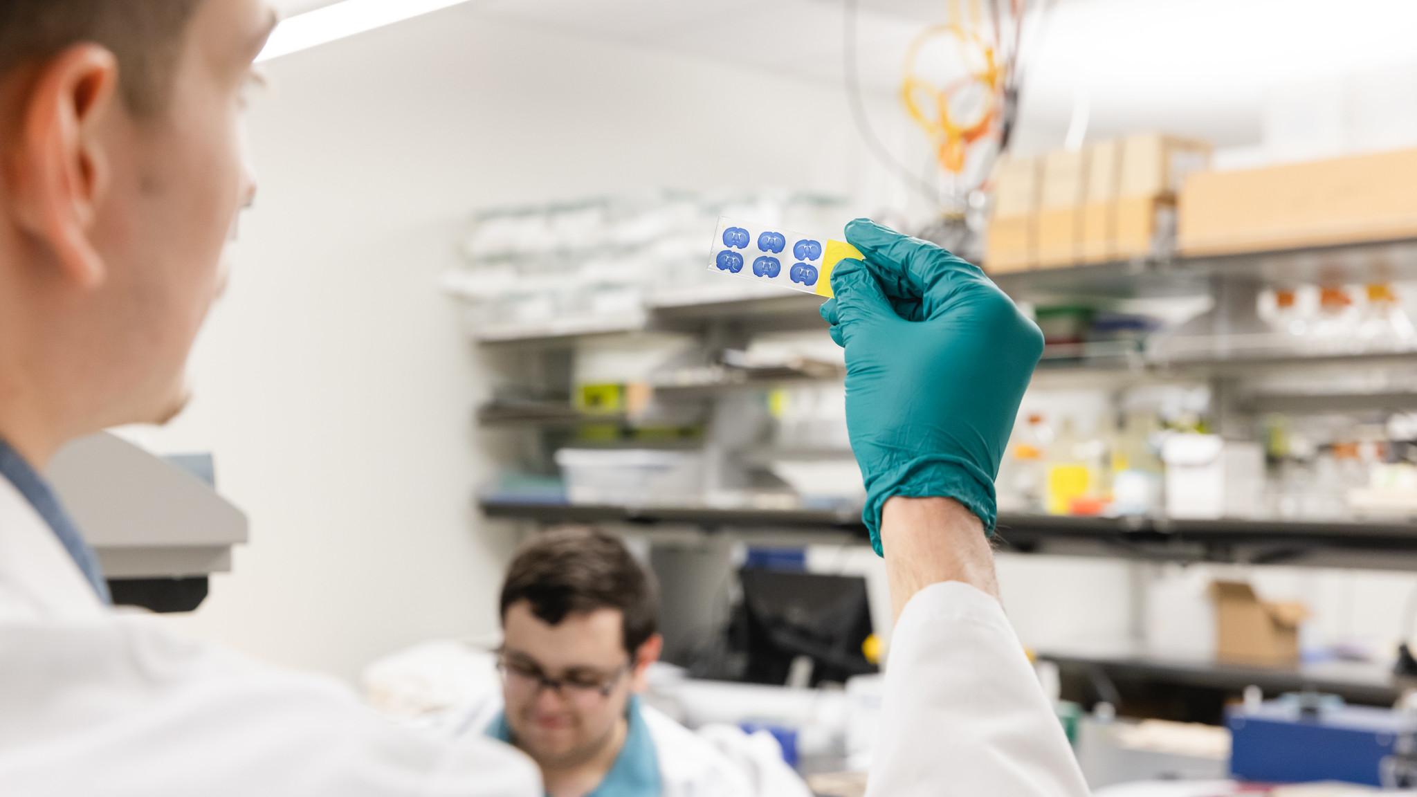 Leadership Experience and Advancement Program in STEM | North Central ...