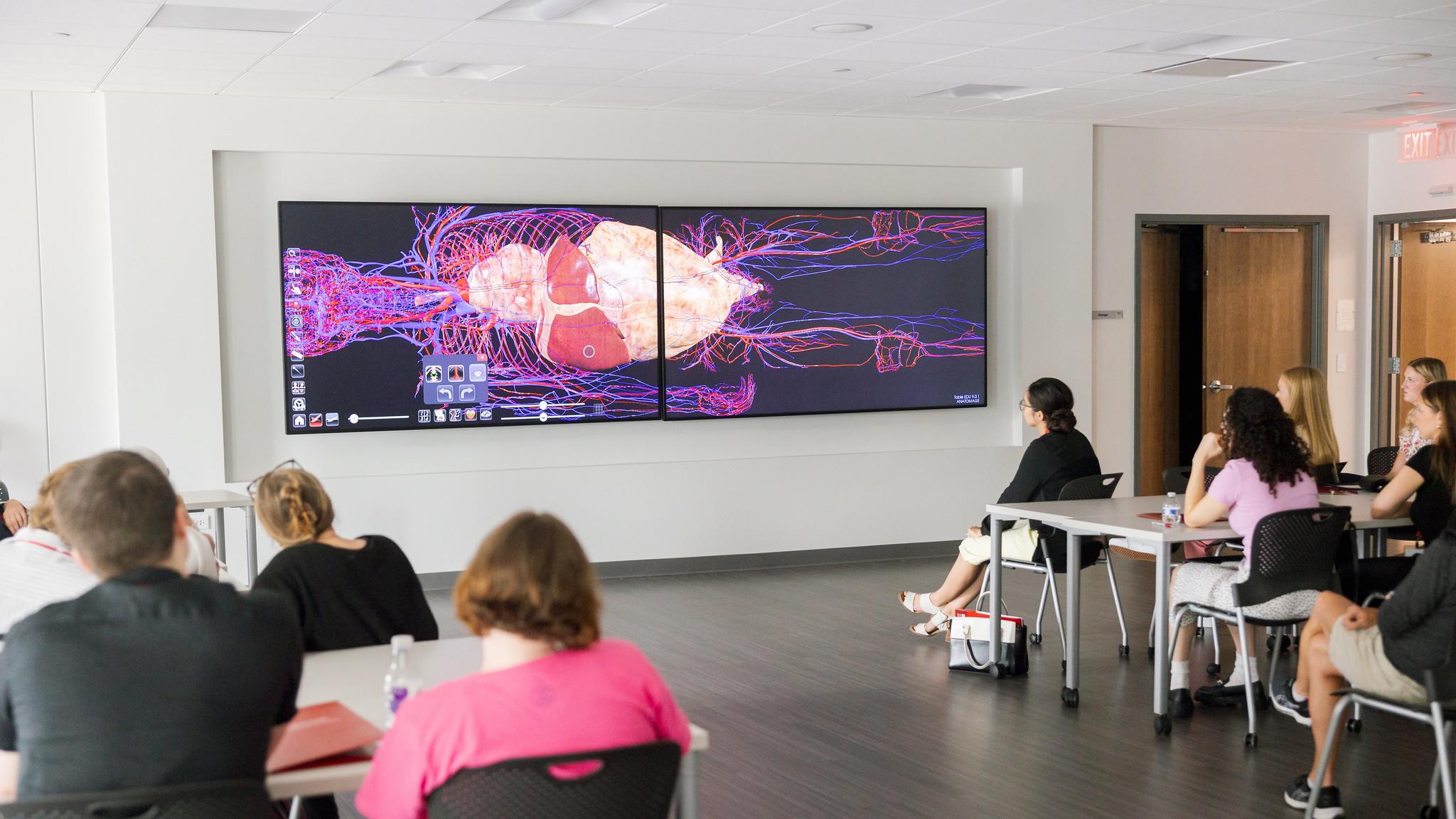 Graduate Health Profession Degrees | North Central College