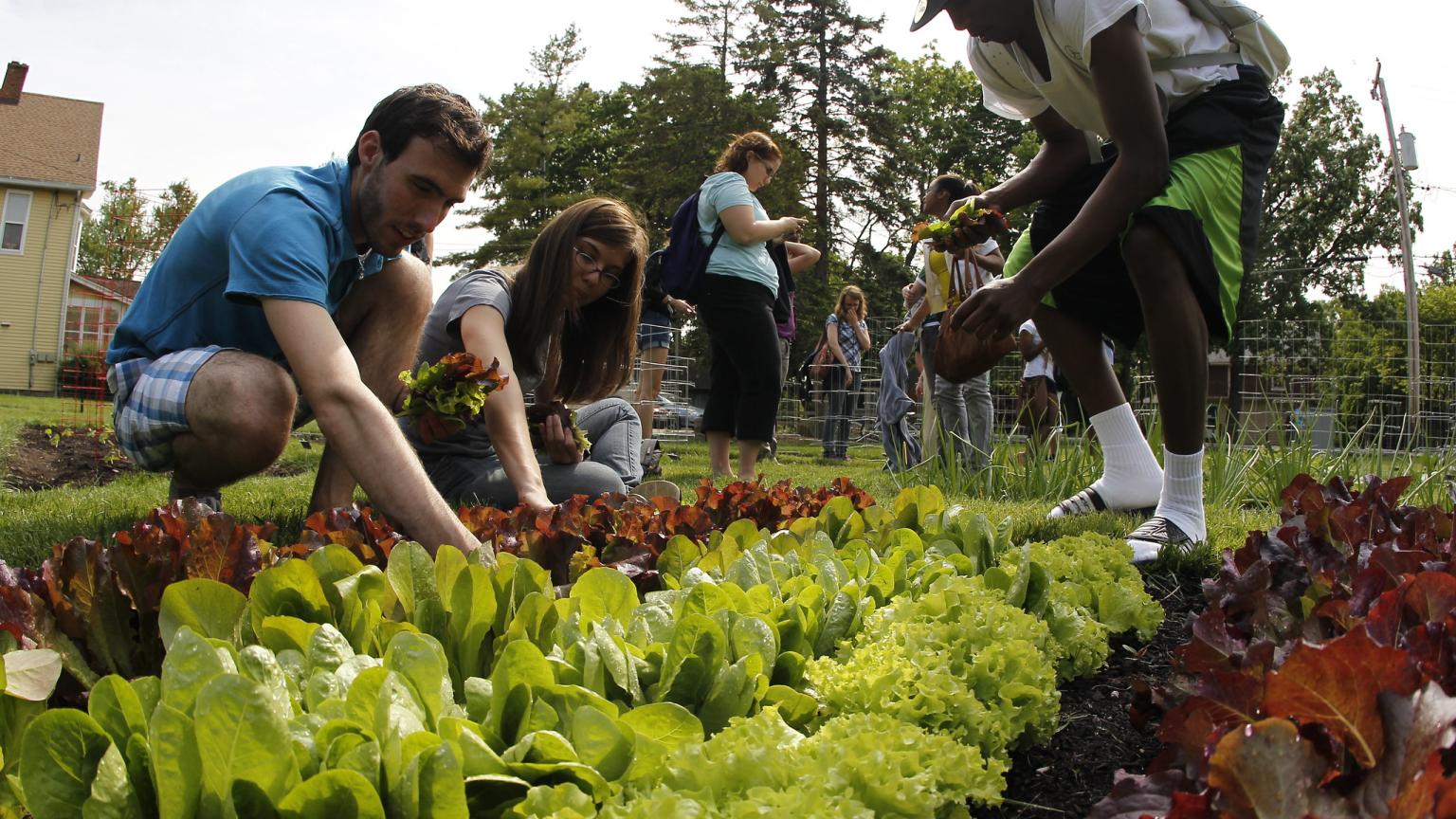 Environmental Studies vs. Environmental Science | North Central College
