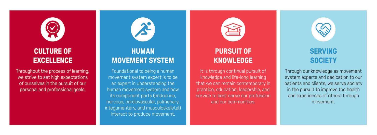 Doctor of Physical Therapy Program (DPT) | North Central College