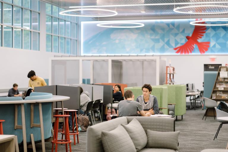 North Central’s Oesterle Library featured in Positively Naperville ...