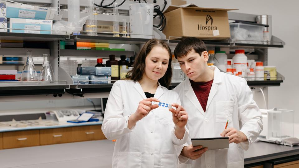 Is Neuroscience a Good Major? | North Central College