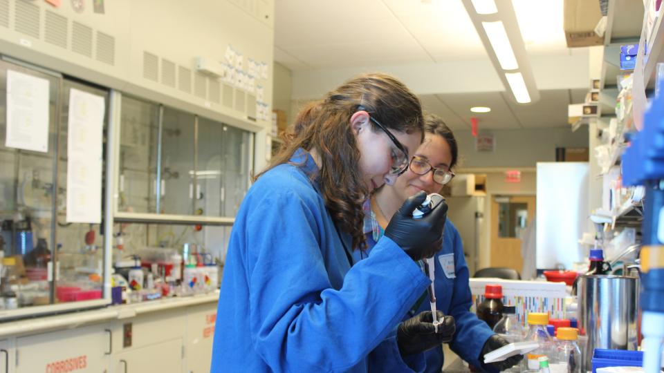 The 4 Types of Anthropology | North Central College