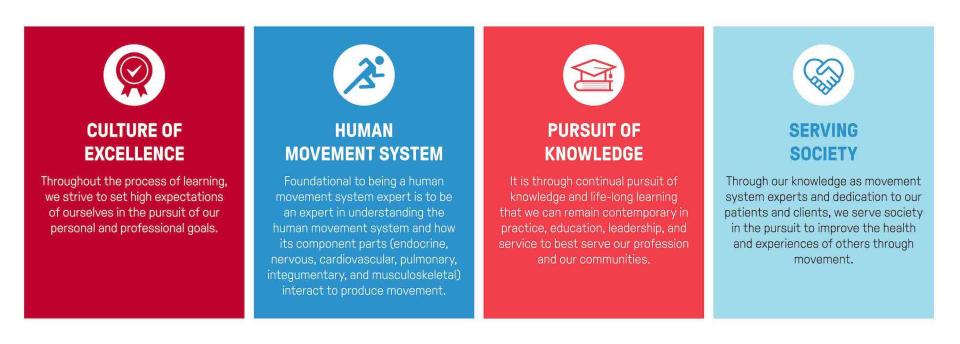 Doctor of Physical Therapy Program (DPT) | North Central College