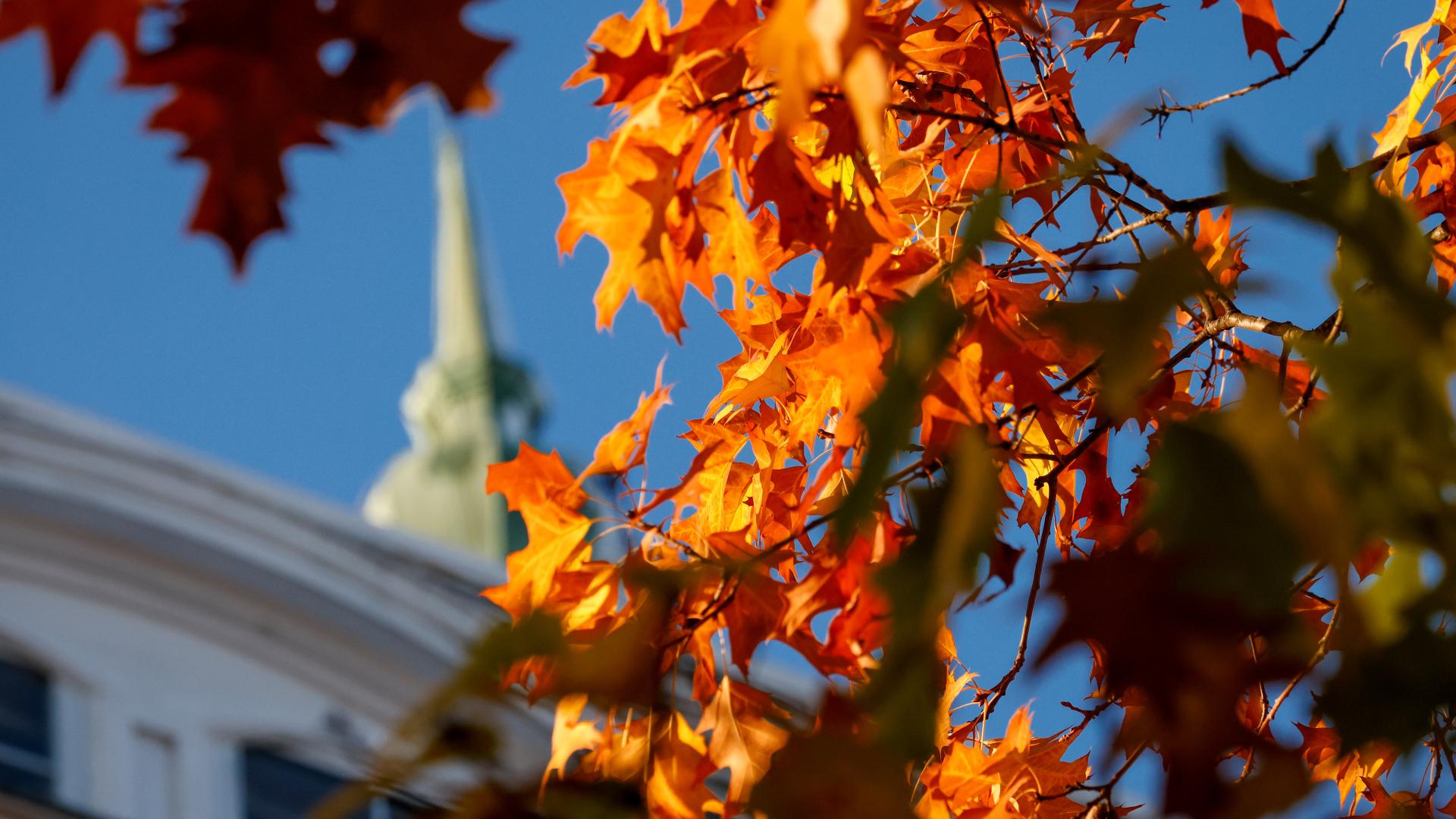 Cardinal Operation Hope and Help | North Central College